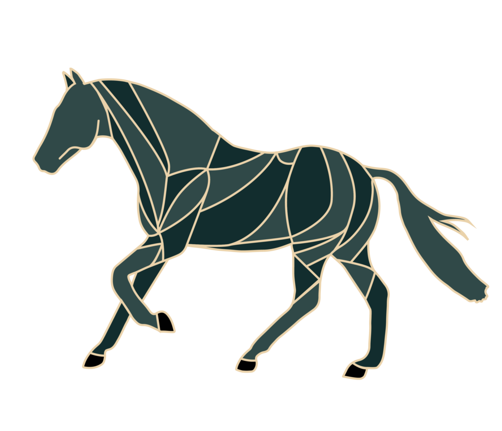 Intake Form - Momentum Equine Sports Therapy