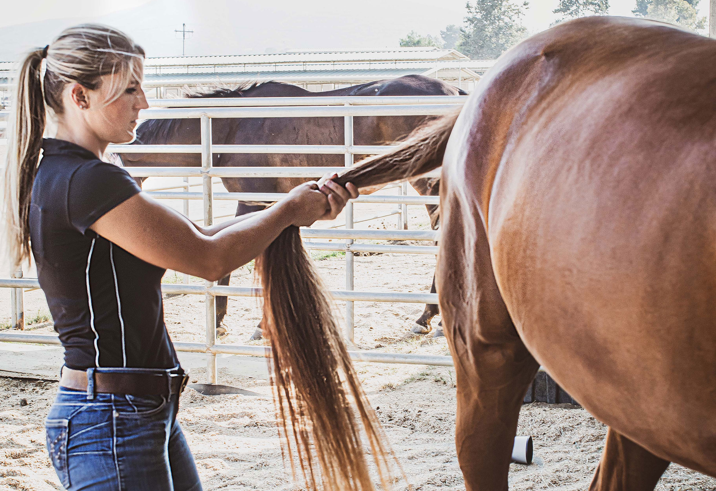 Intake Form - Momentum Equine Sports Therapy