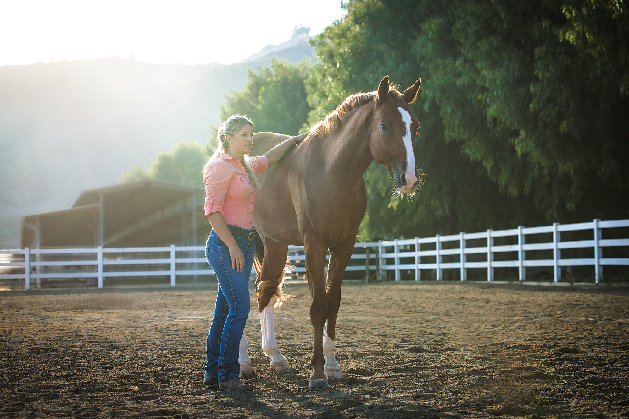 Intake Form - Momentum Equine Sports Therapy